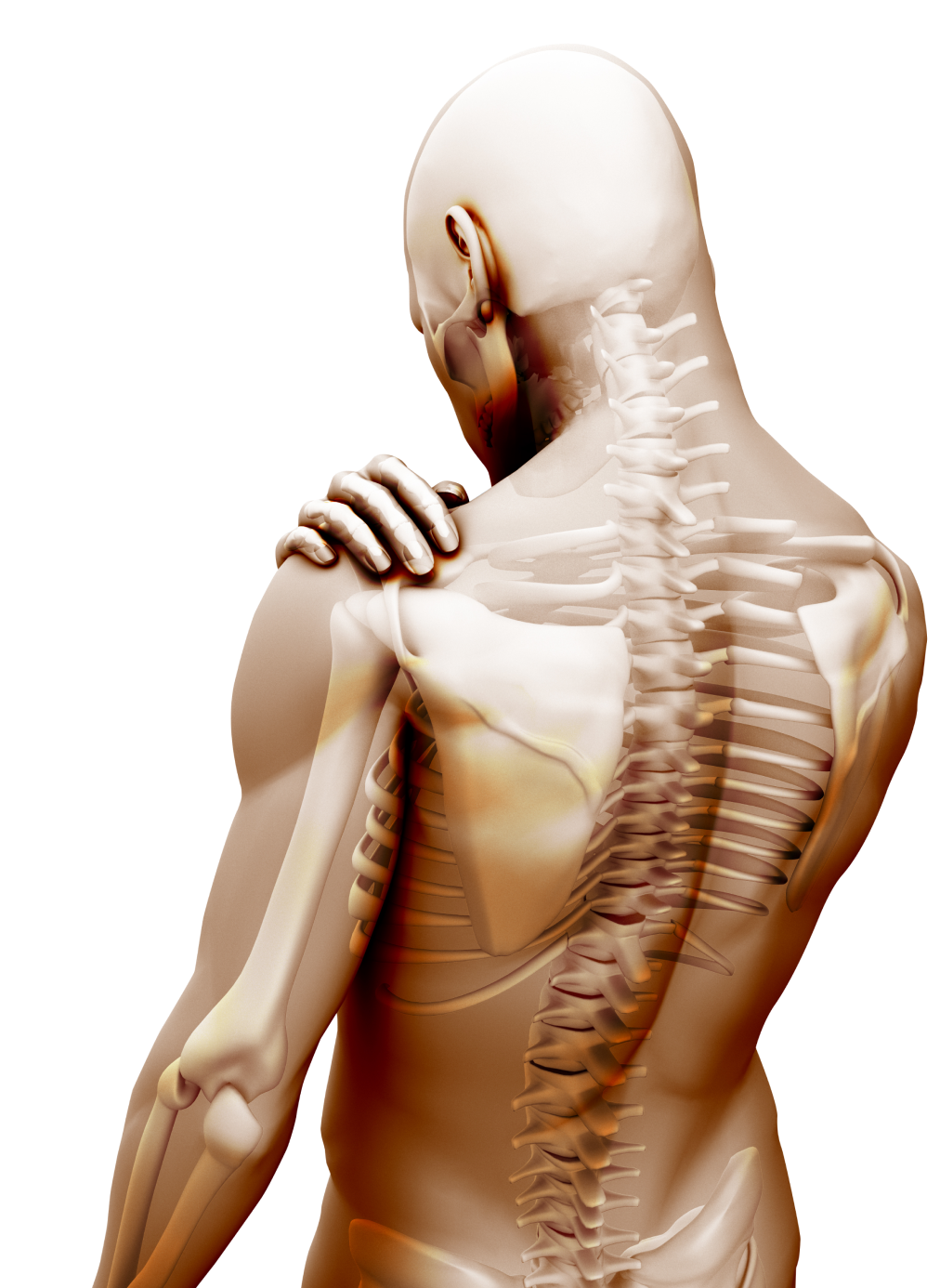 X Ray – National Radiology